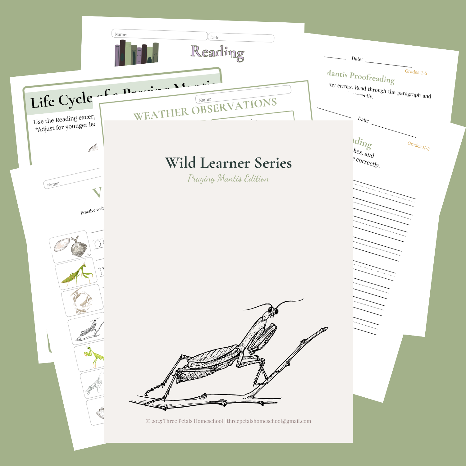 Praying Mantis Printable Packet | Insect Life Cycle, Reading & Science ...